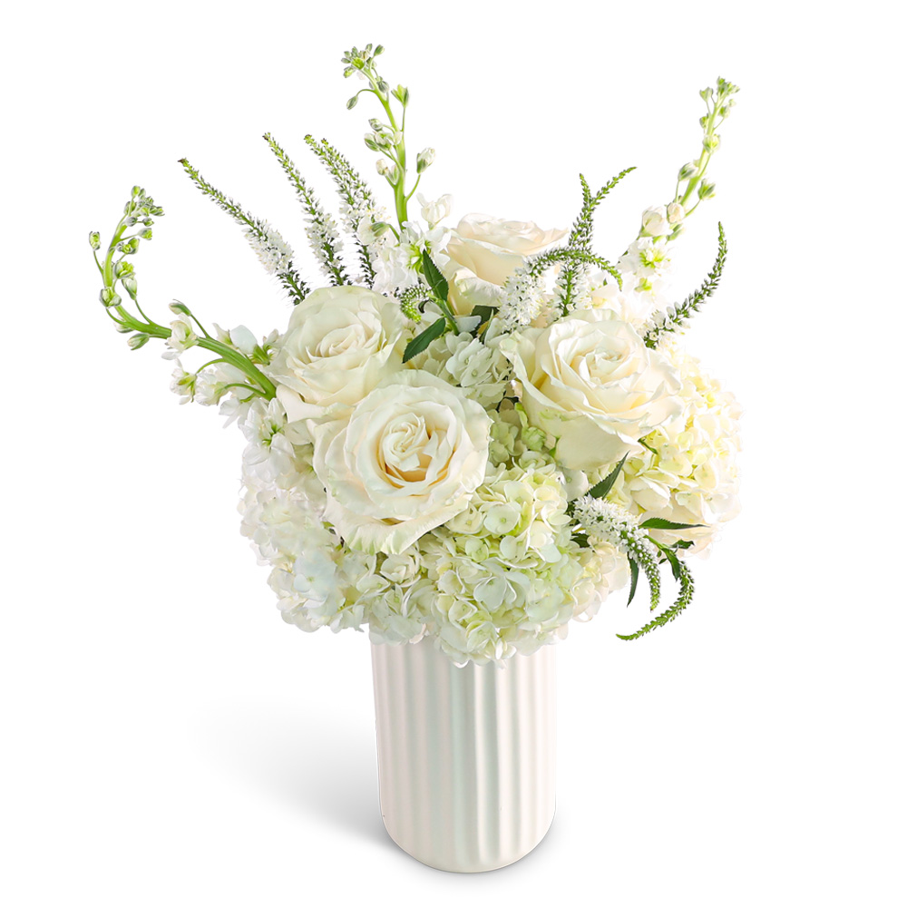 Simply Pure White :: Keller & Stein