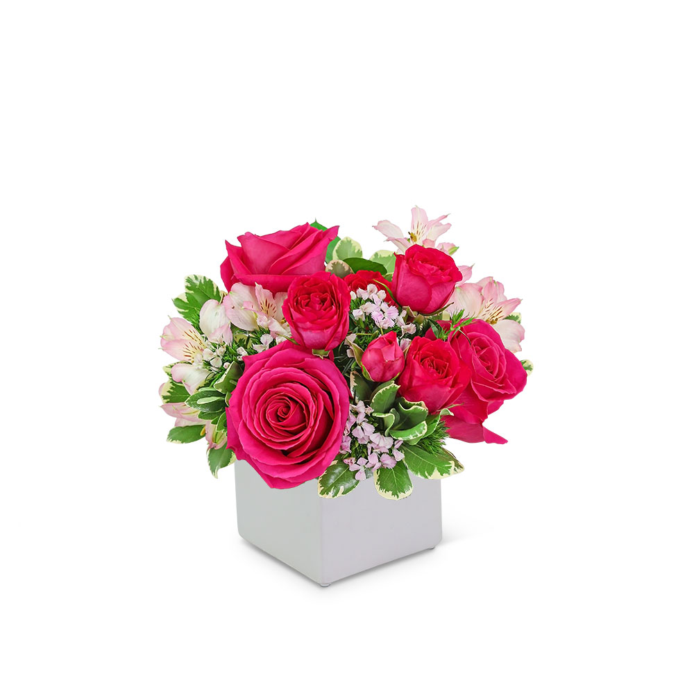 Pretty Posh :: Keller & Stein