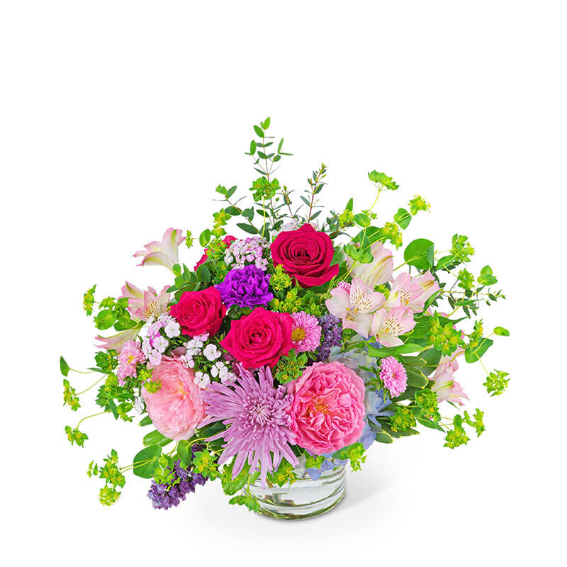 Blooming in Color :: Keller & Stein