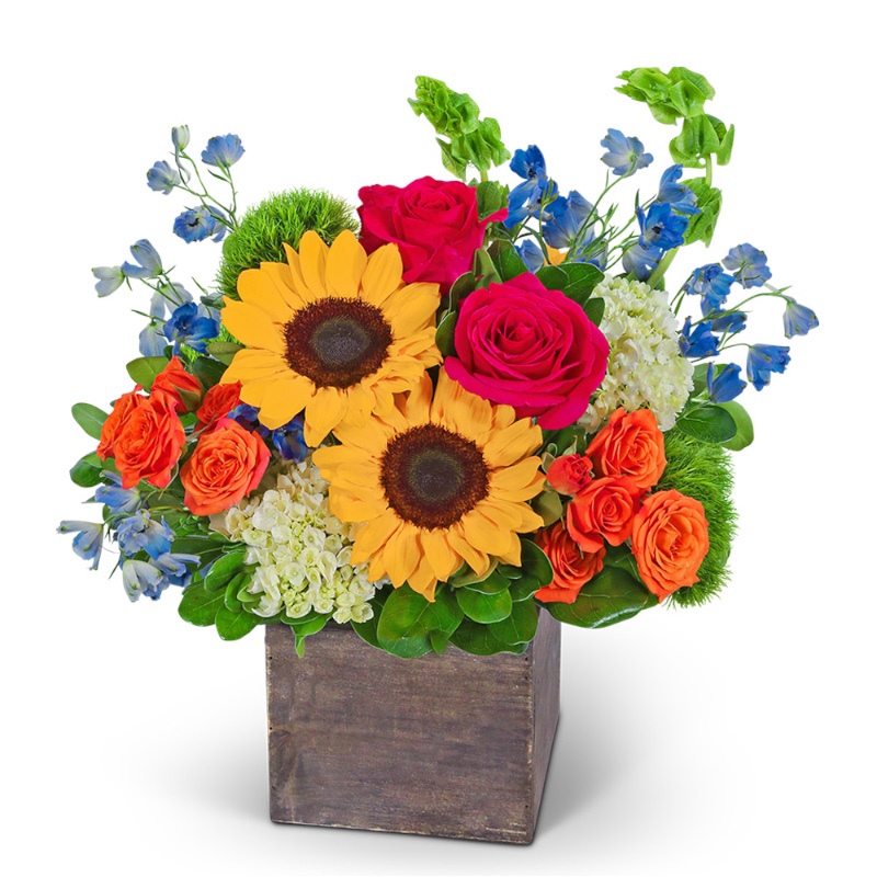 Havana Paradise :: Keller & Stein