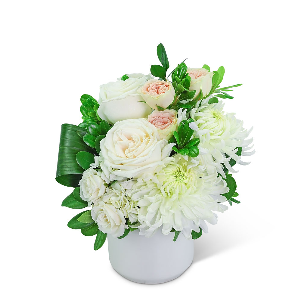 Vogue Blush :: Keller & Stein