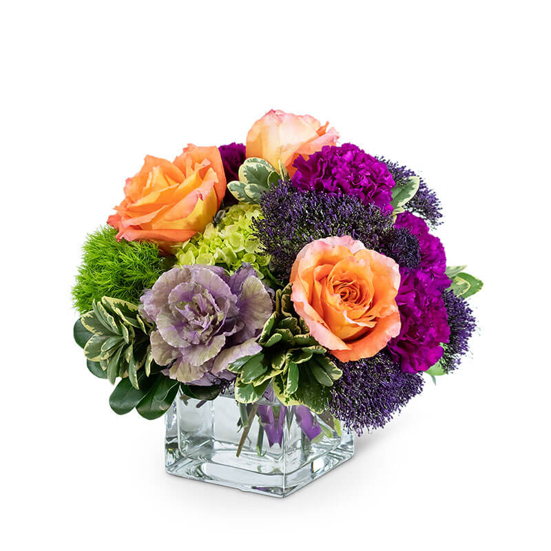 Blooming Reign :: Keller & Stein