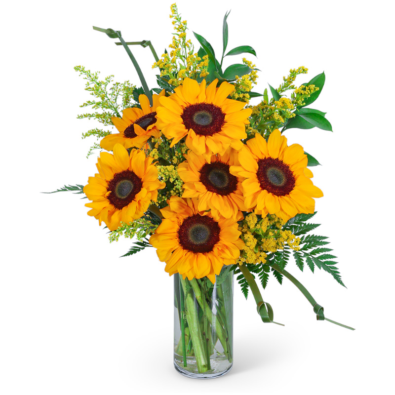Sunflowers and Love Knots :: Keller & Stein