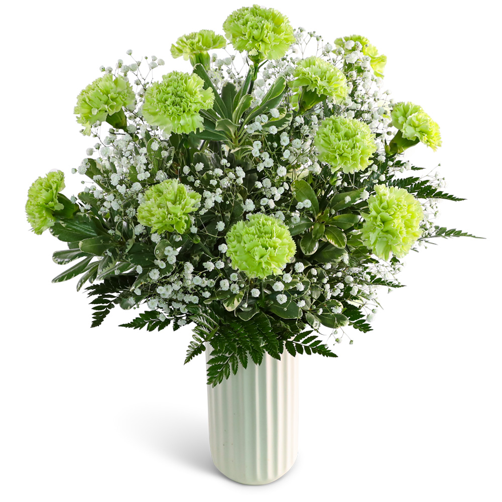 One Dozen Starry Green Carnations :: Keller & Stein