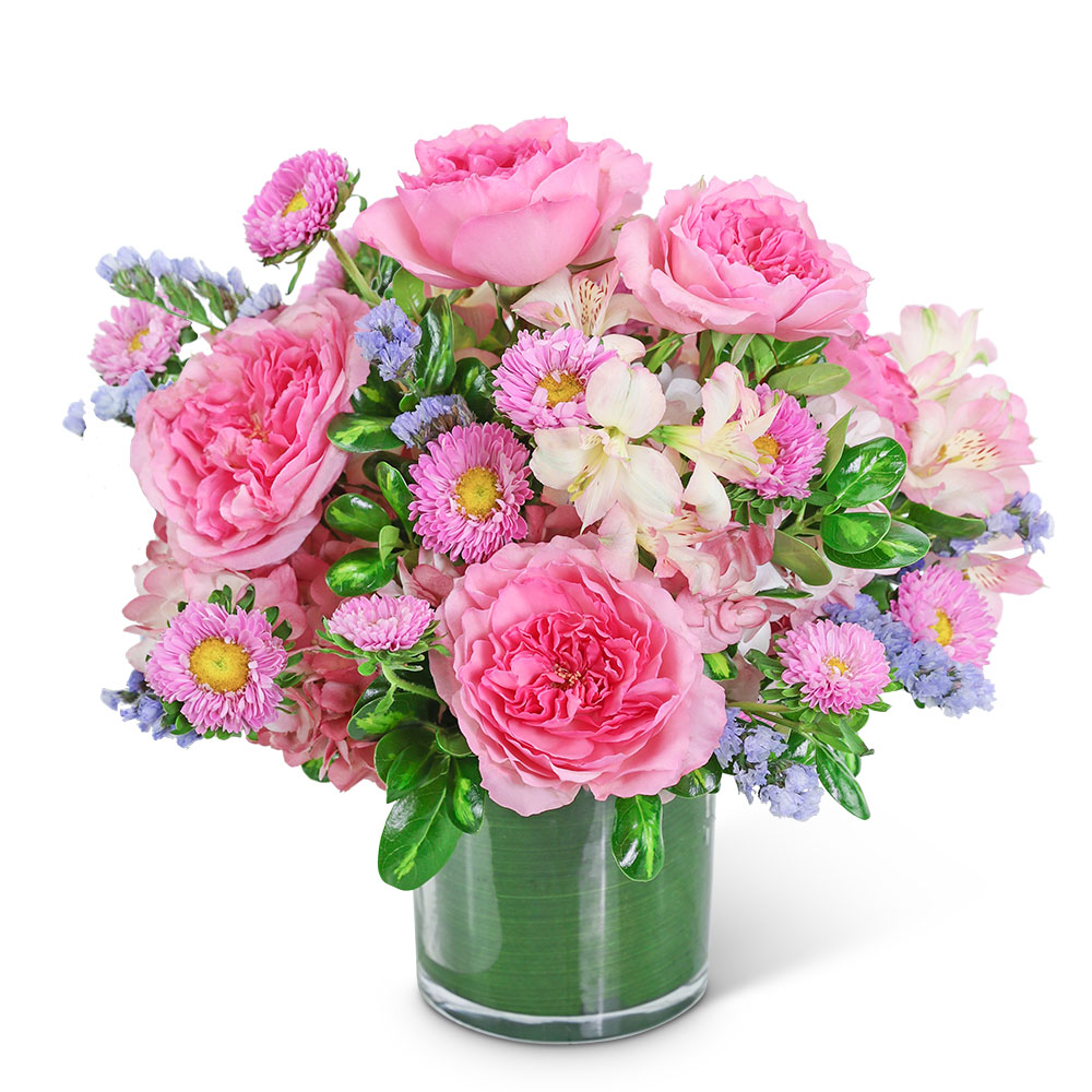 Cloud Nine Luxe :: Keller & Stein