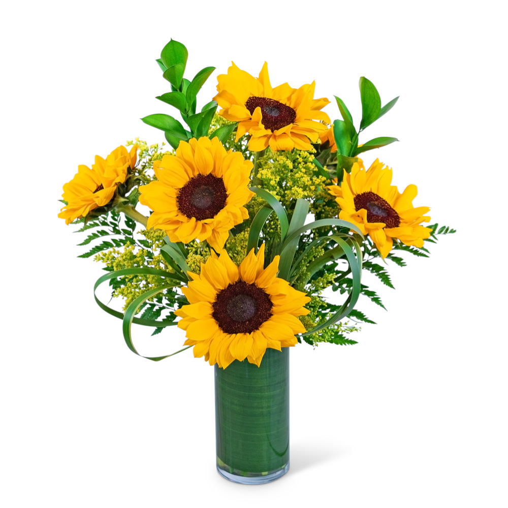 Ray Of Golden Sunflowers :: Keller & Stein