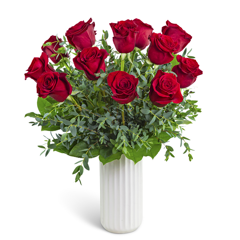 One Dozen Ruby Red Roses :: Keller & Stein