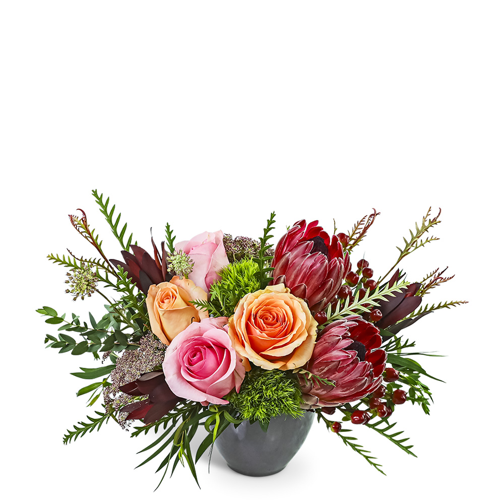 Wild Rose Waltz :: Keller & Stein