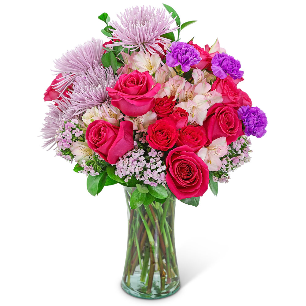 Cosmopolitan Wish :: Keller & Stein