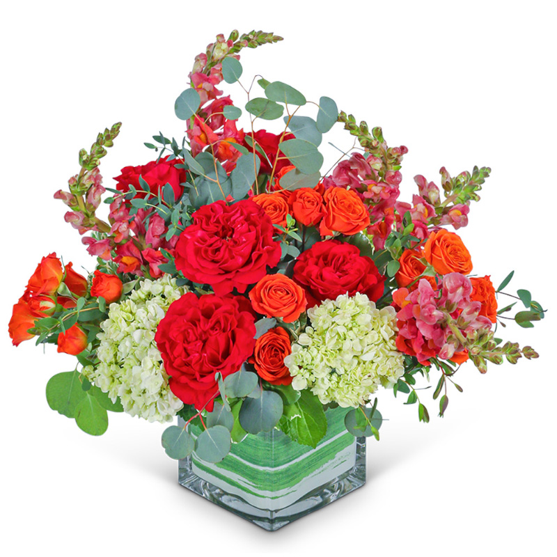 Positano Paradise :: Keller & Stein