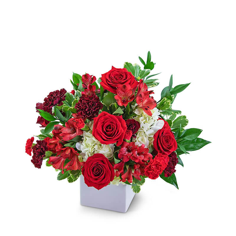 Ruby Luxe :: Keller & Stein