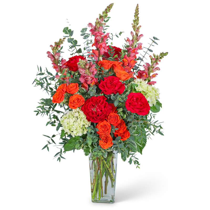 Capri Coast :: Keller & Stein