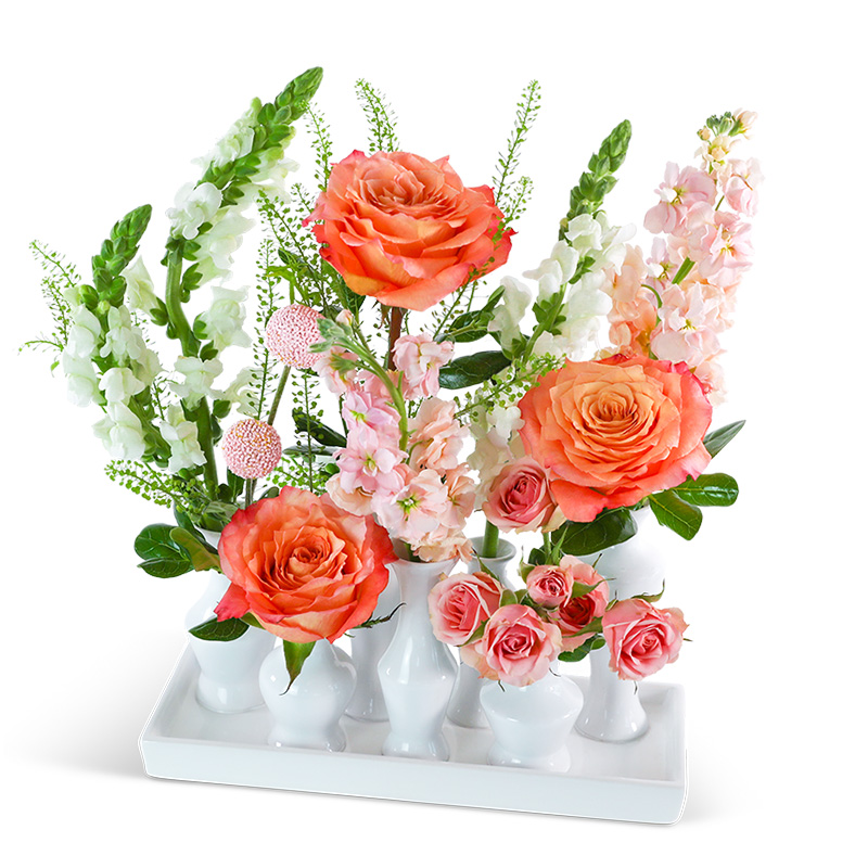 Coral Pop Bud Vase Blooms :: Keller & Stein