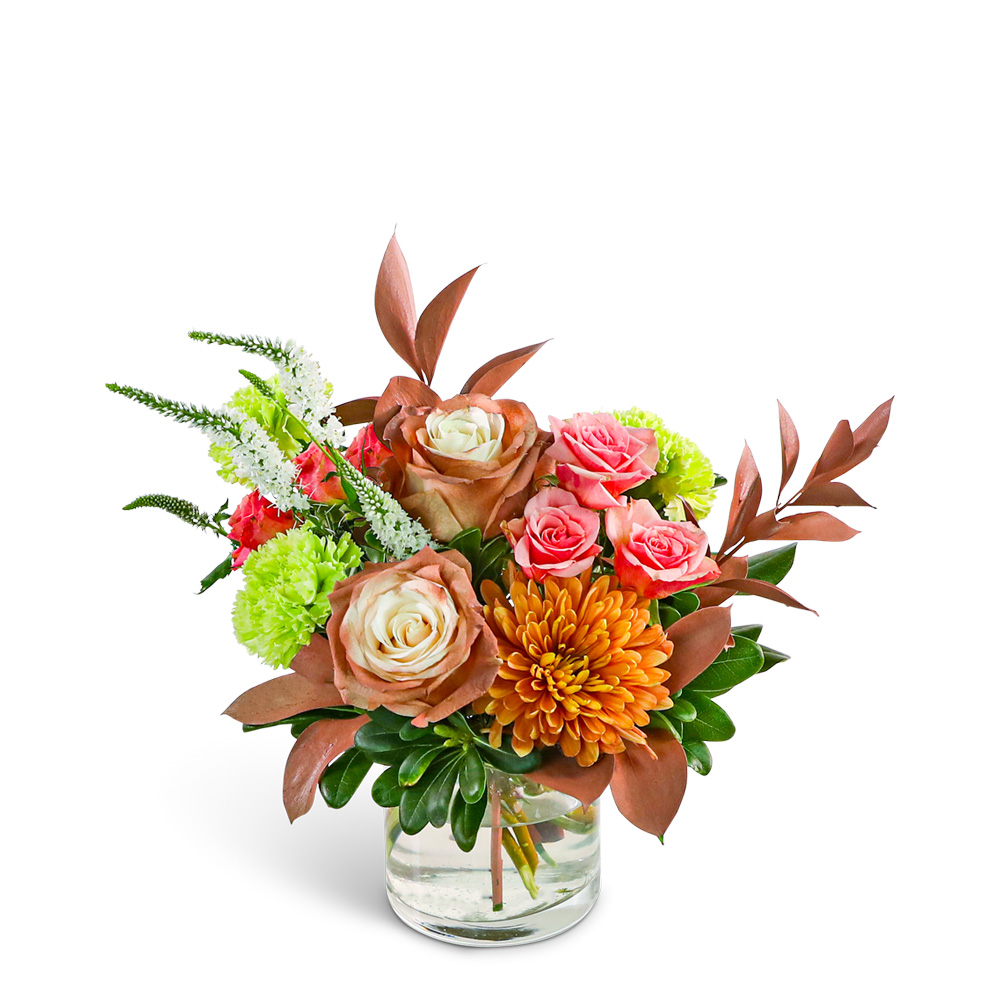 Mocha Blush :: Keller & Stein