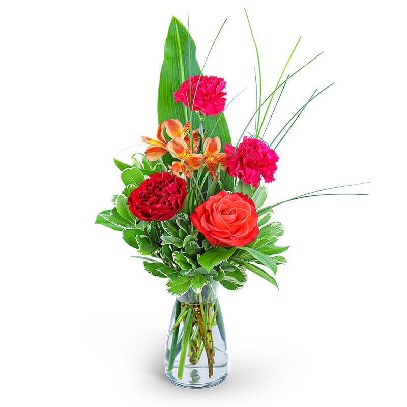 Mango Split :: Keller & Stein