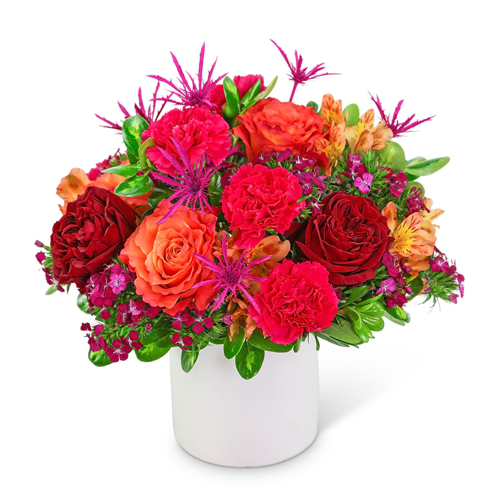 Paradise Found :: Keller & Stein