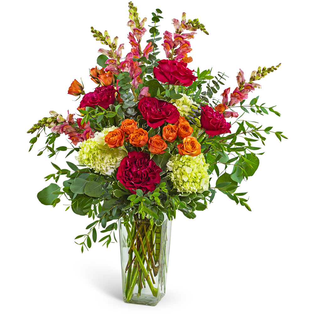 Sorrento Flora :: Keller & Stein