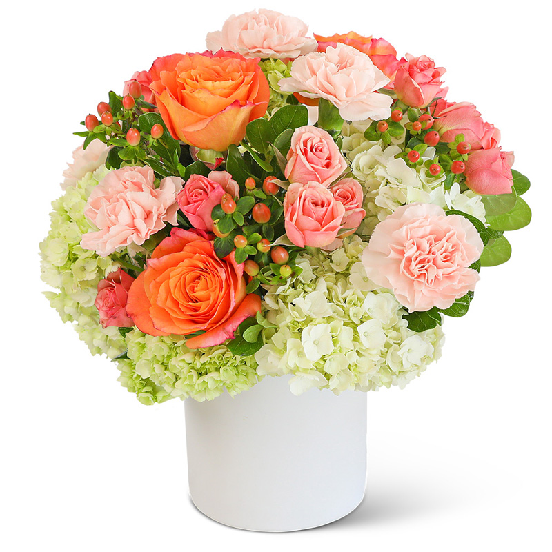 Malibu Morning :: Keller & Stein