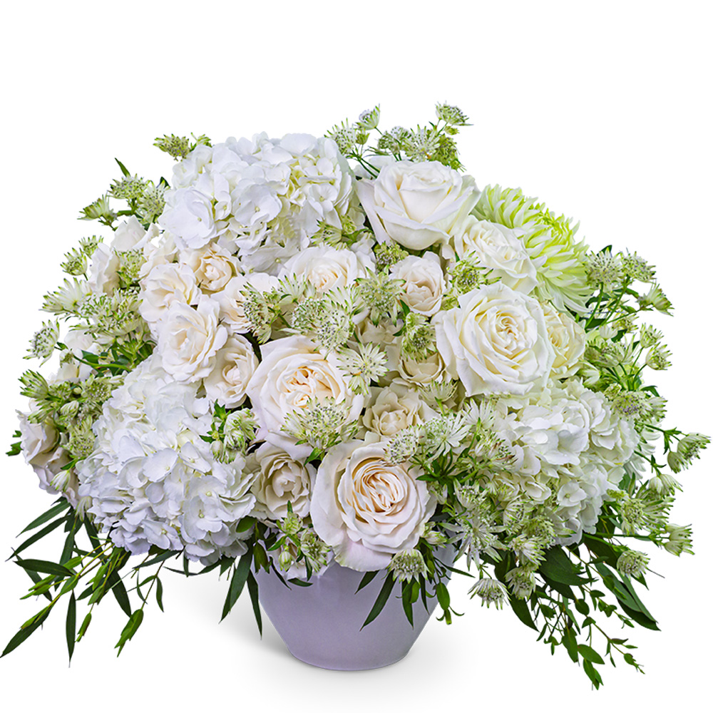 Repose Among Roses :: Keller & Stein