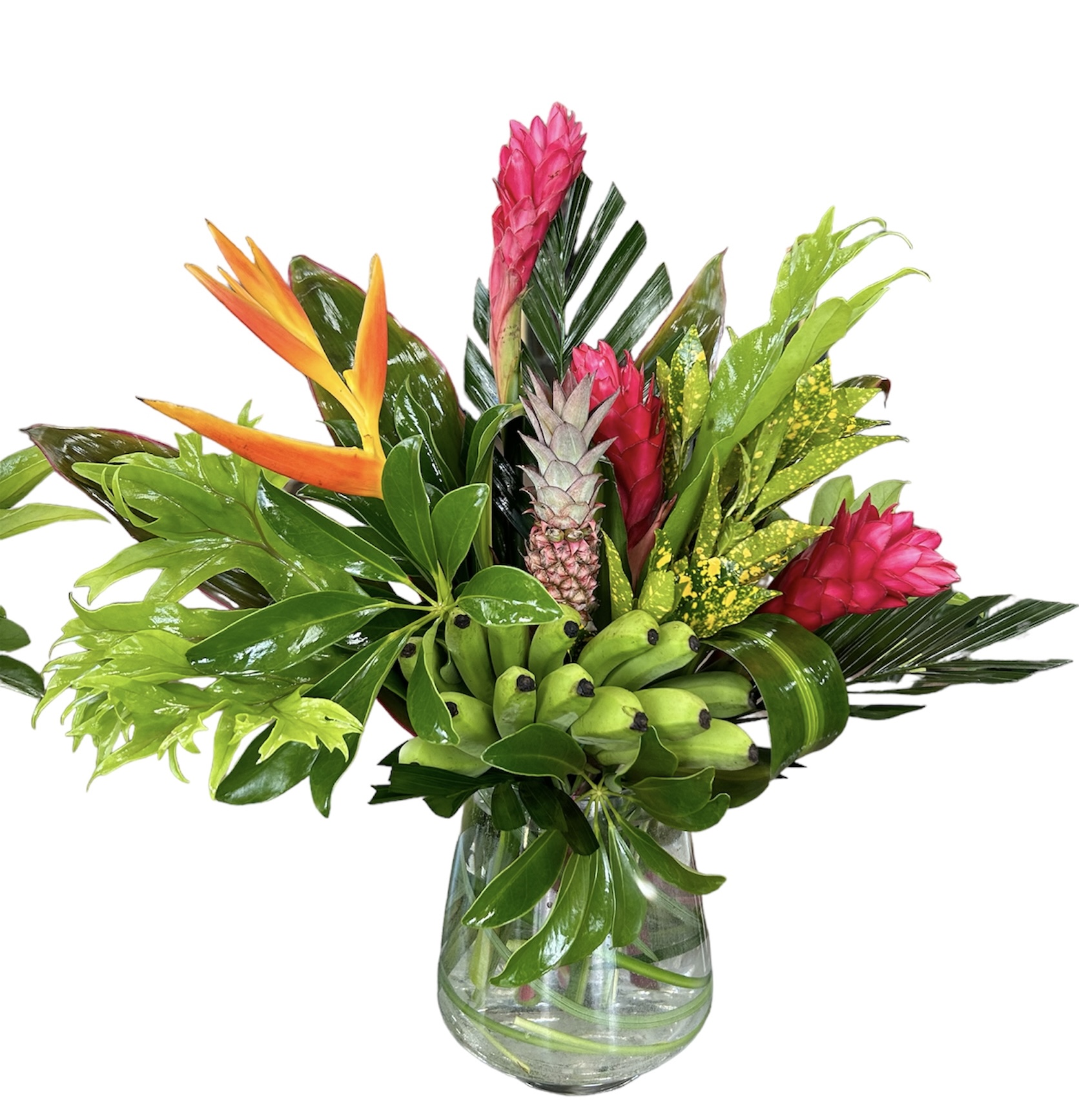 Take me to the Tropics :: Keller & Stein