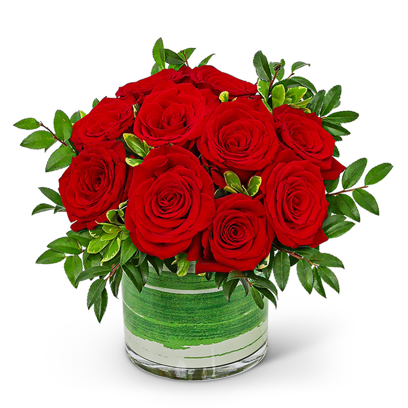 One Dozen Rosy Posy Red Roses :: Keller & Stein
