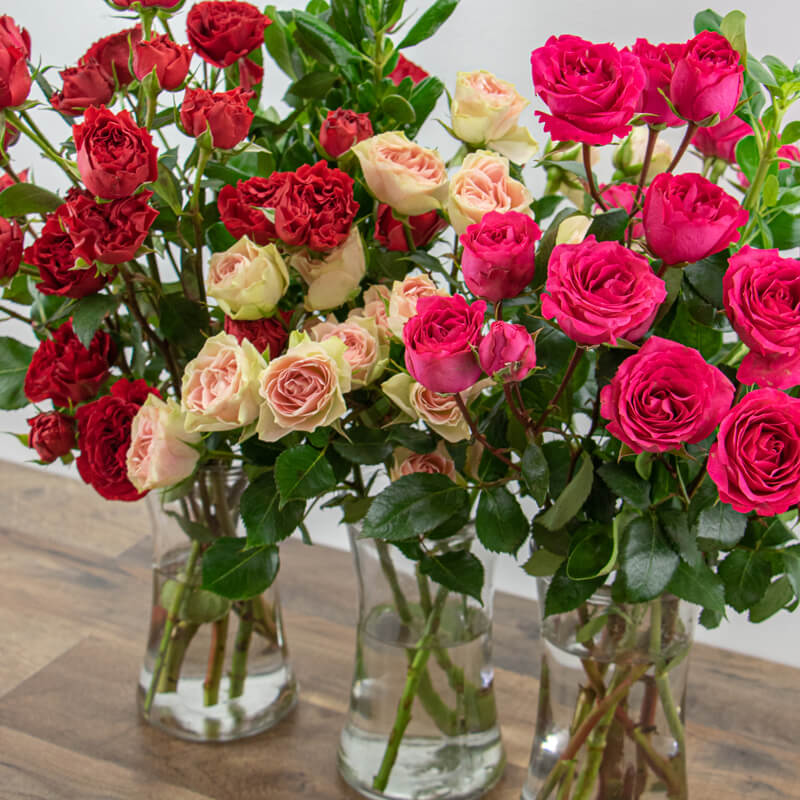 Spray Rose Bouquet :: Keller & Stein