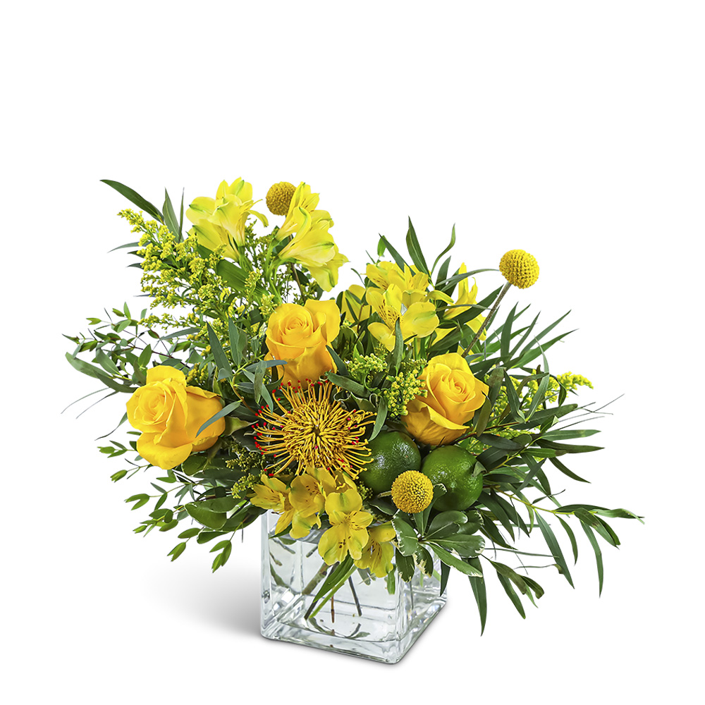 Zesty Twist :: Keller & Stein