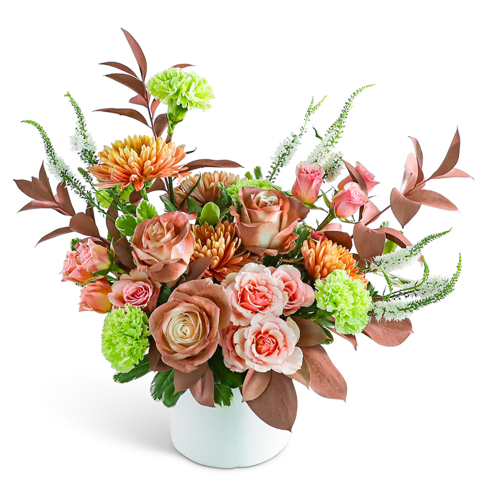 Mocha Constellation :: Keller & Stein