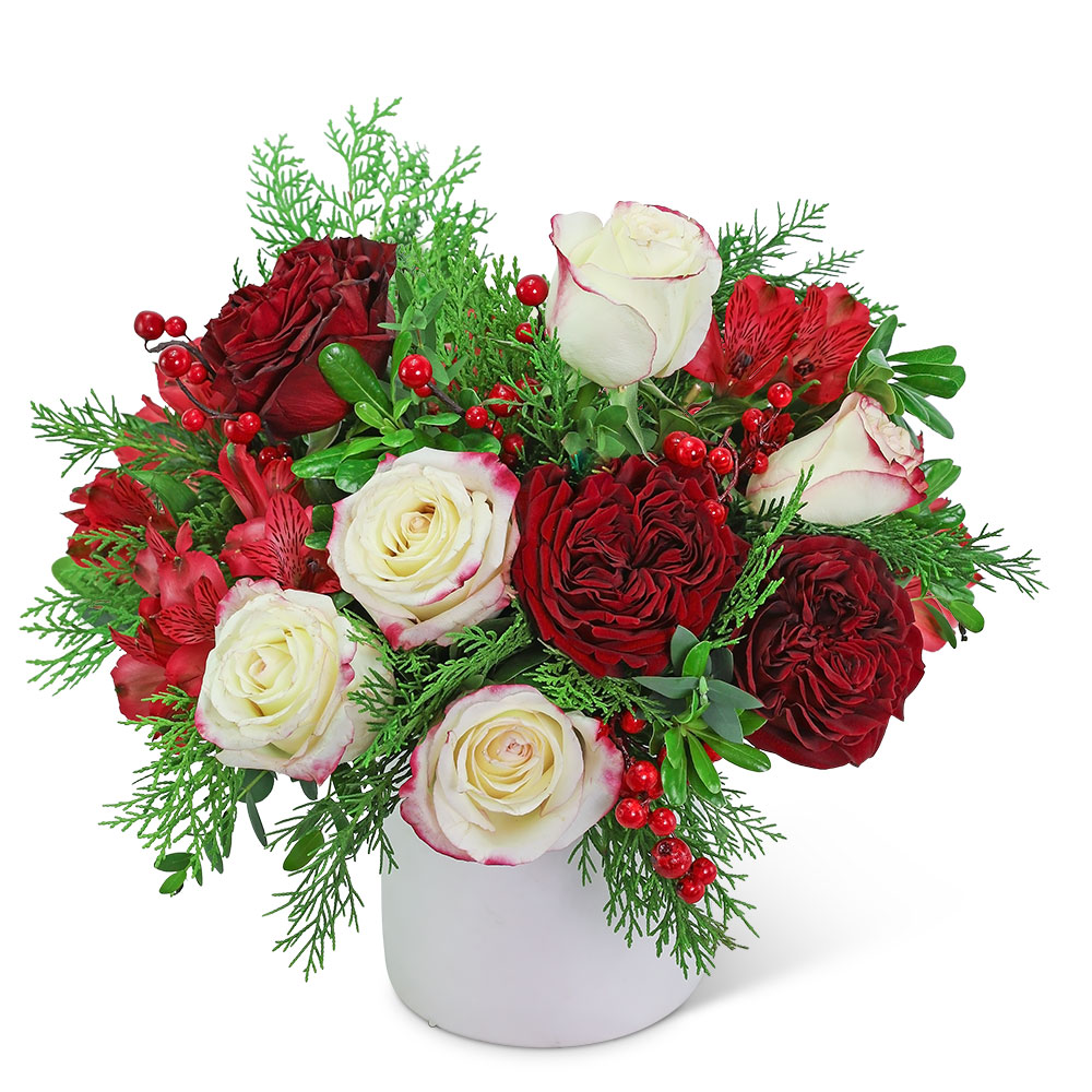 Luxe Berry Wonderland :: Keller & Stein