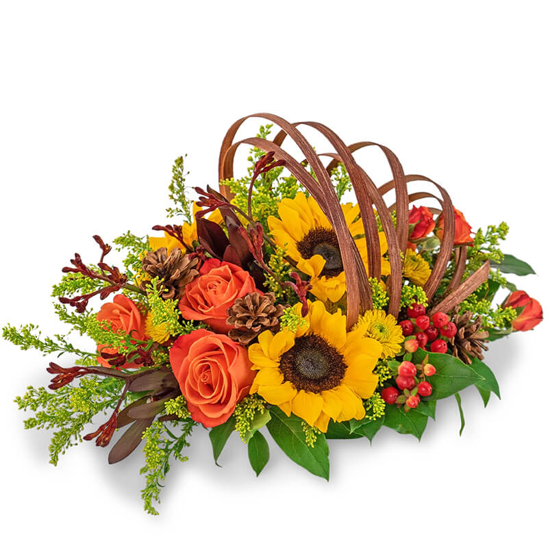 Creative Cornucopia :: Keller & Stein