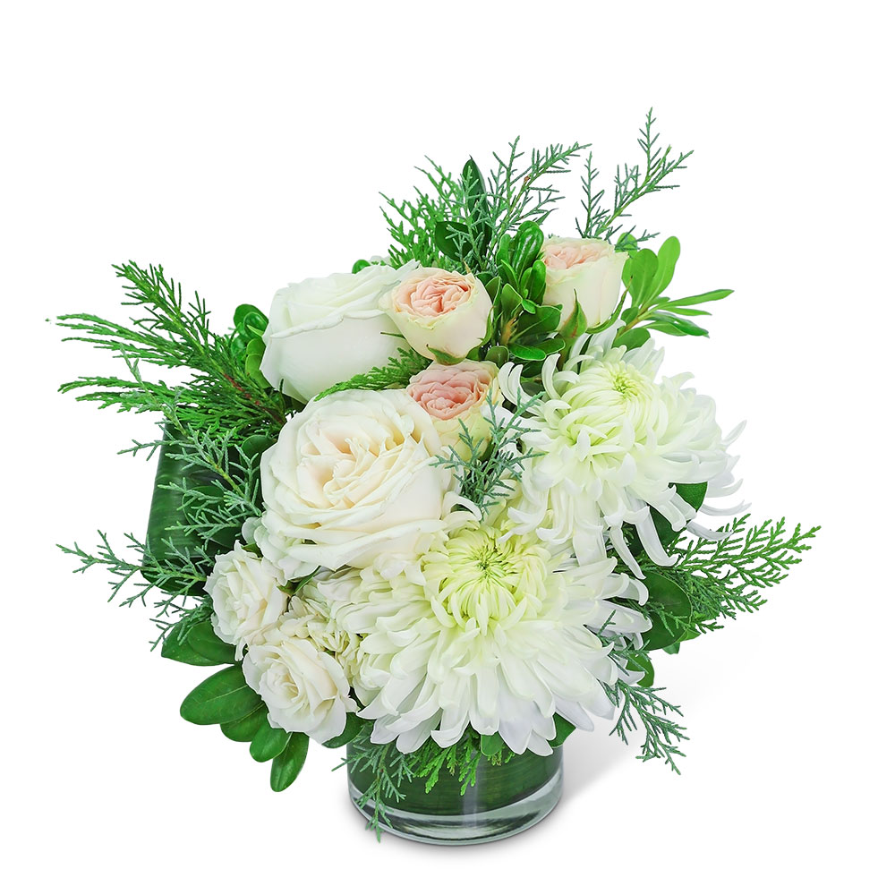 Satin Swan :: Keller & Stein