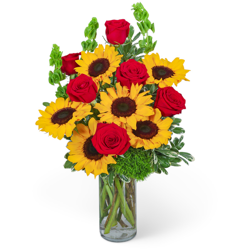 Sunny Love :: Keller & Stein